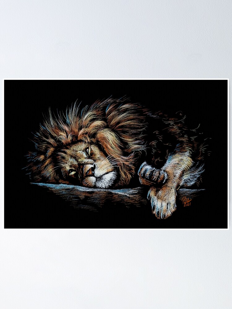 "Sleepy Lion Drawing" Poster for Sale by Paul-M-W | Redbubble