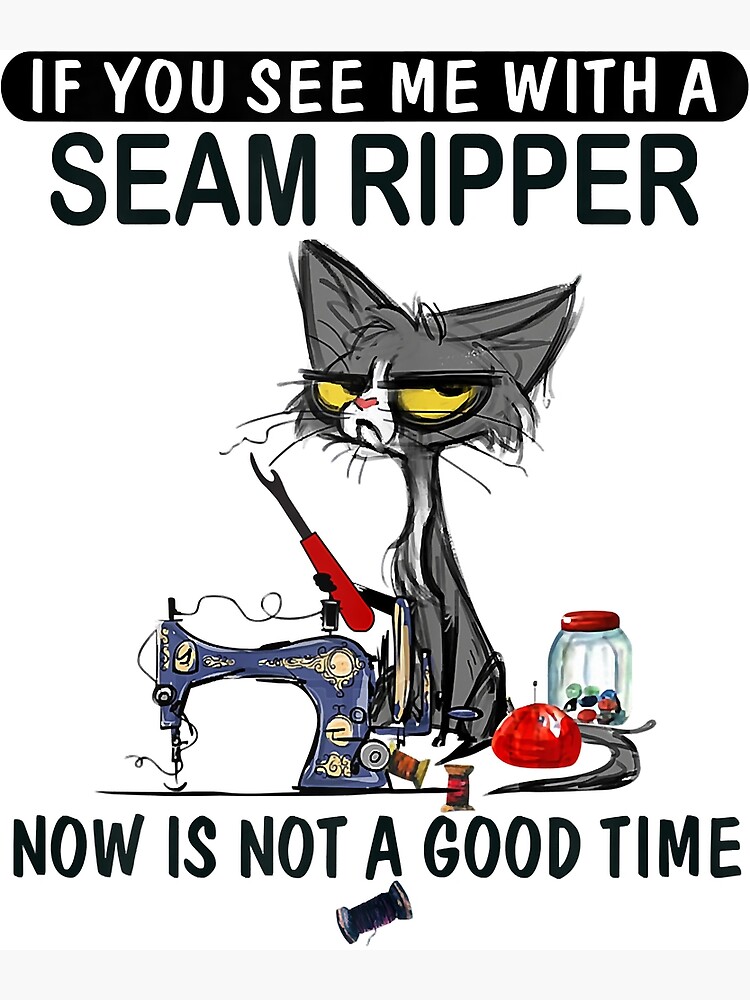"if you see me with a seam ripper now is not a good time" Poster for ...