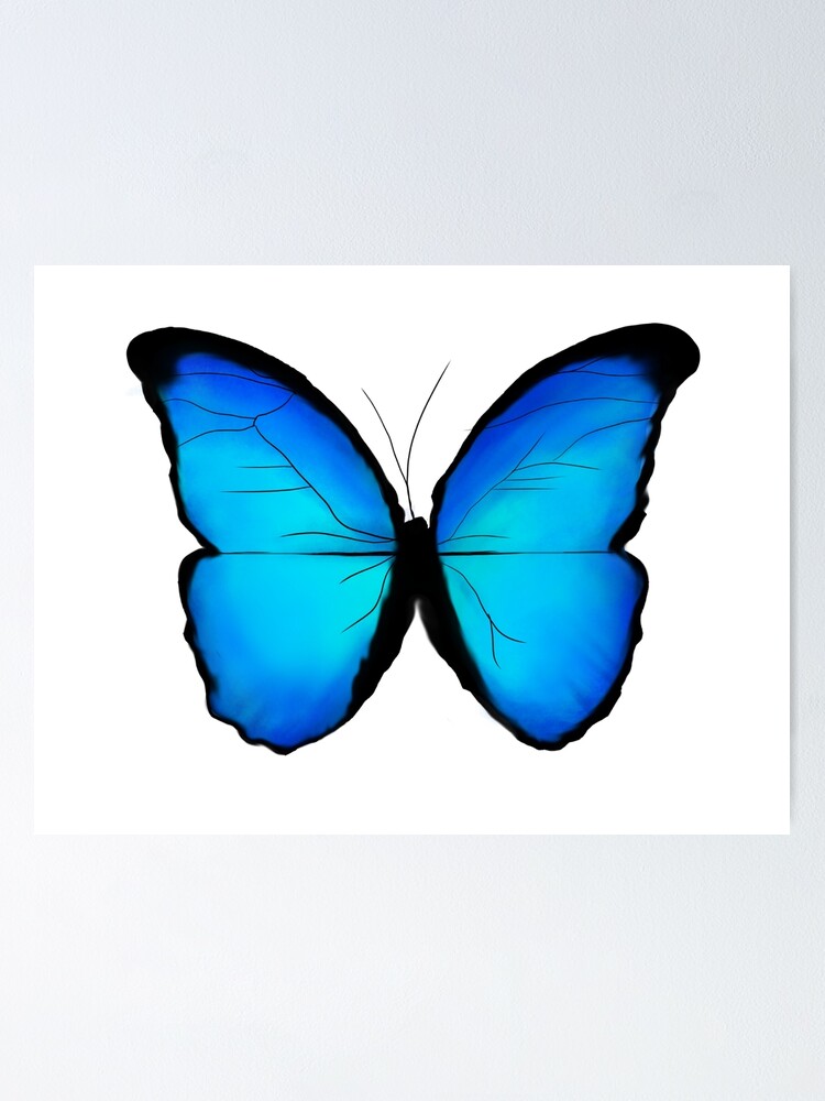 "blue morpho butterfly" Poster for Sale by Digital-Arts- | Redbubble