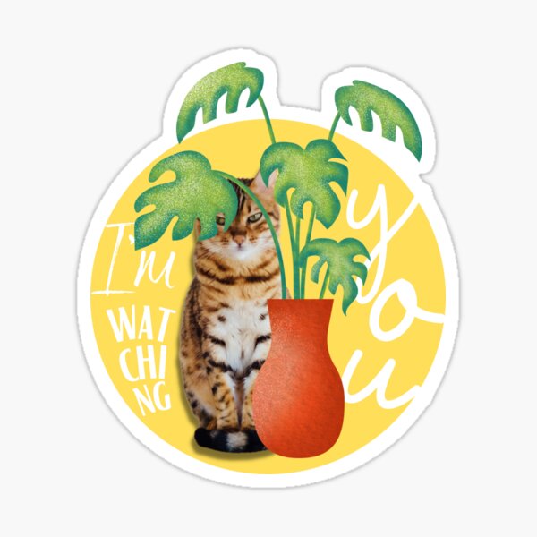 "Suspicious Cat" Sticker by Schka | Redbubble