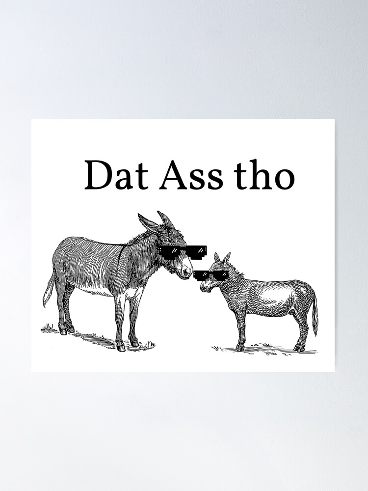 25 Best Memes About Donkey Funny Donkey Funny Memes 30 Donkey Memes So