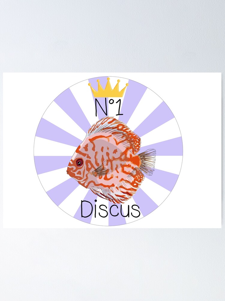 "Discus" Poster by furry-pumpkin | Redbubble
