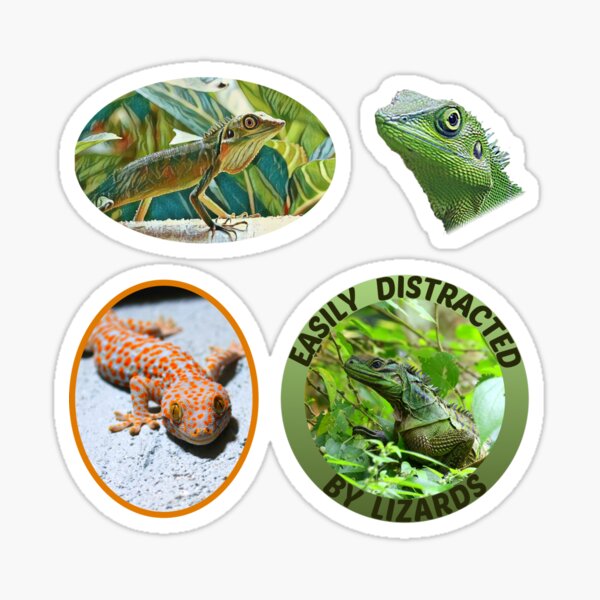 "Lizard sticker pack" Sticker for Sale by HabitatGoGreen | Redbubble