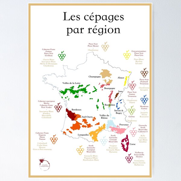 "Map - French grape varieties - wine" Poster by petitsindisvin | Redbubble