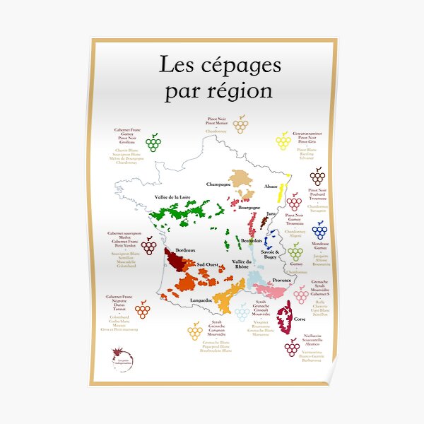 "Map - French grape varieties - wine" Poster for Sale by petitsindisvin ...