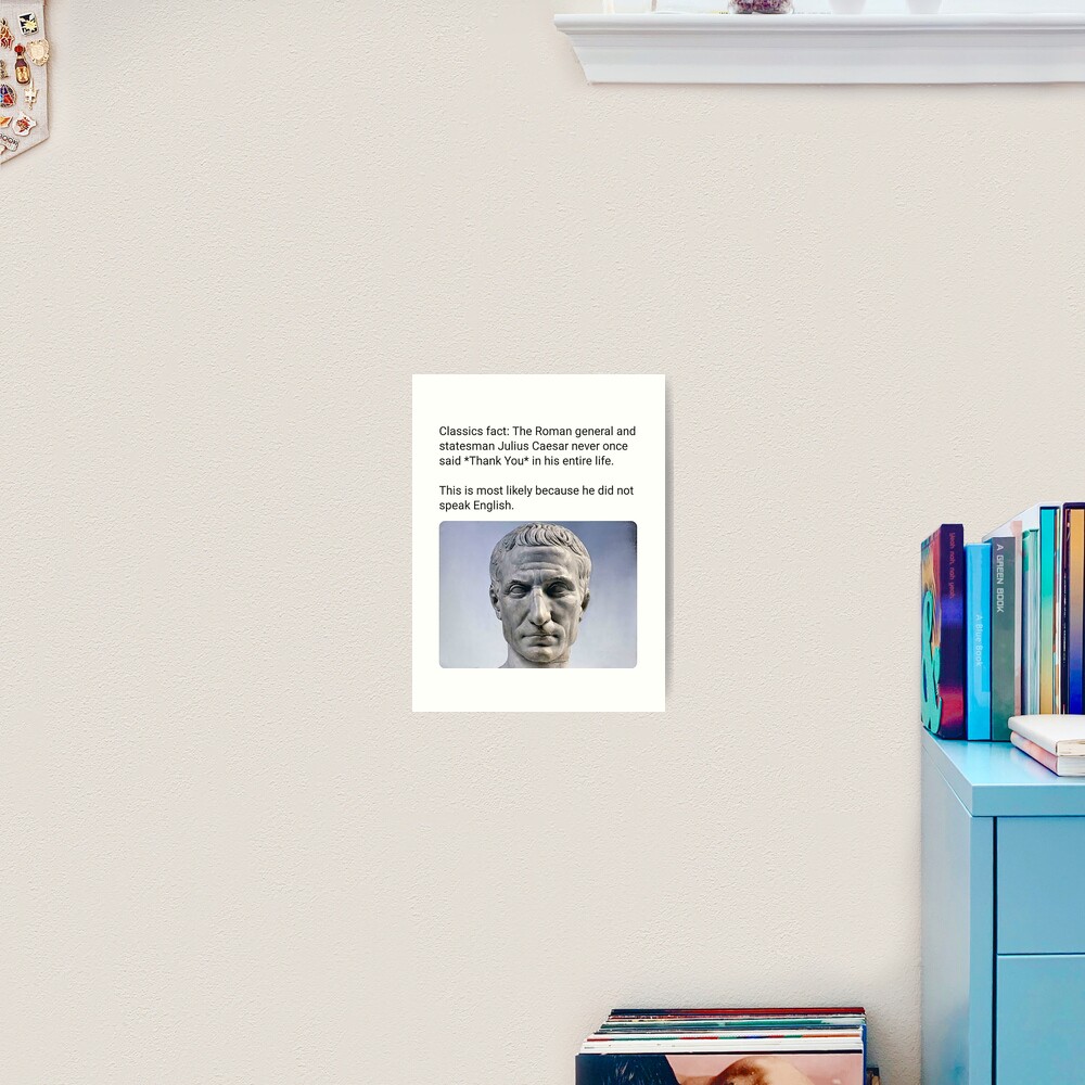 "funny Julius Caesar meme" Poster for Sale by Natalie-kha | Redbubble