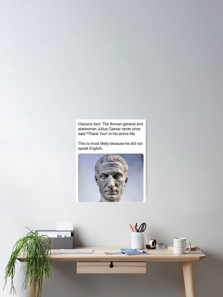 "funny Julius Caesar meme" Poster for Sale by Natalie-kha | Redbubble