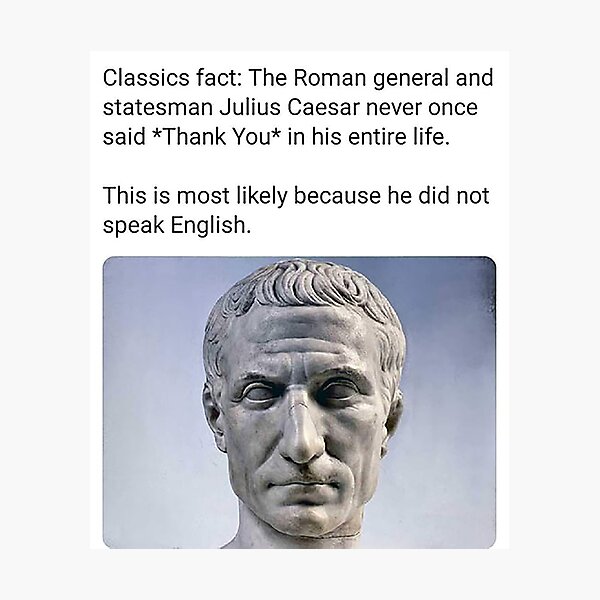 "funny Julius Caesar meme" Photographic Print by Natalie-kha | Redbubble