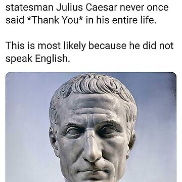 "funny Julius Caesar meme" Poster for Sale by Natalie-kha | Redbubble