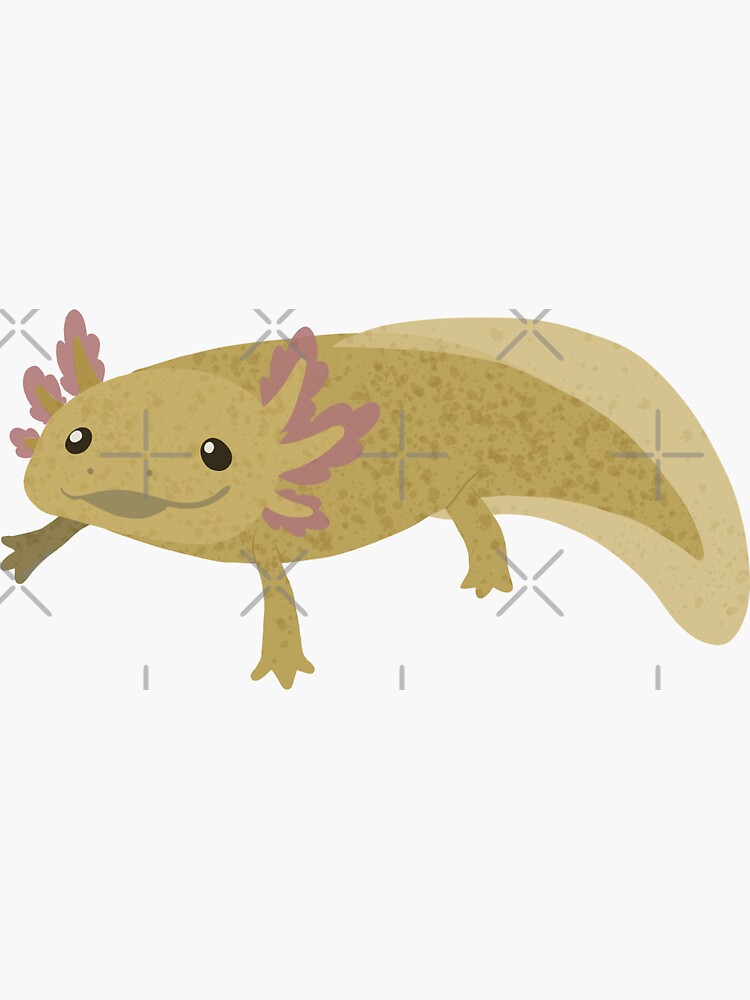 "Copper Axolotl" Sticker by shiinzi | Redbubble