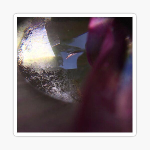 "Water Drop Magnifier" Sticker for Sale by KristenRV | Redbubble