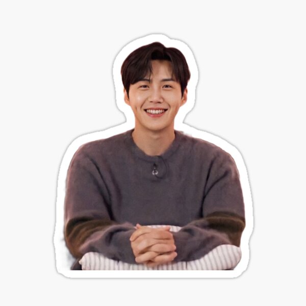"Kim seon ho" Sticker by Divya21 | Redbubble