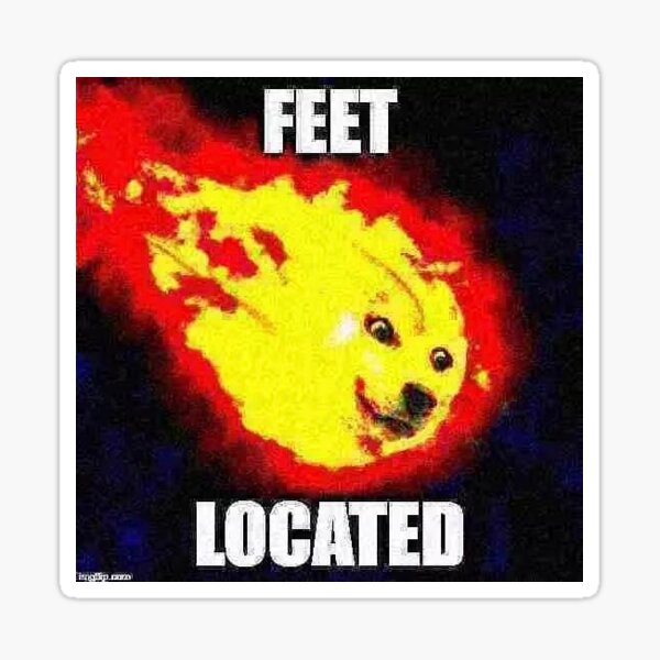 "Feet doge" Sticker for Sale by Usafpj | Redbubble