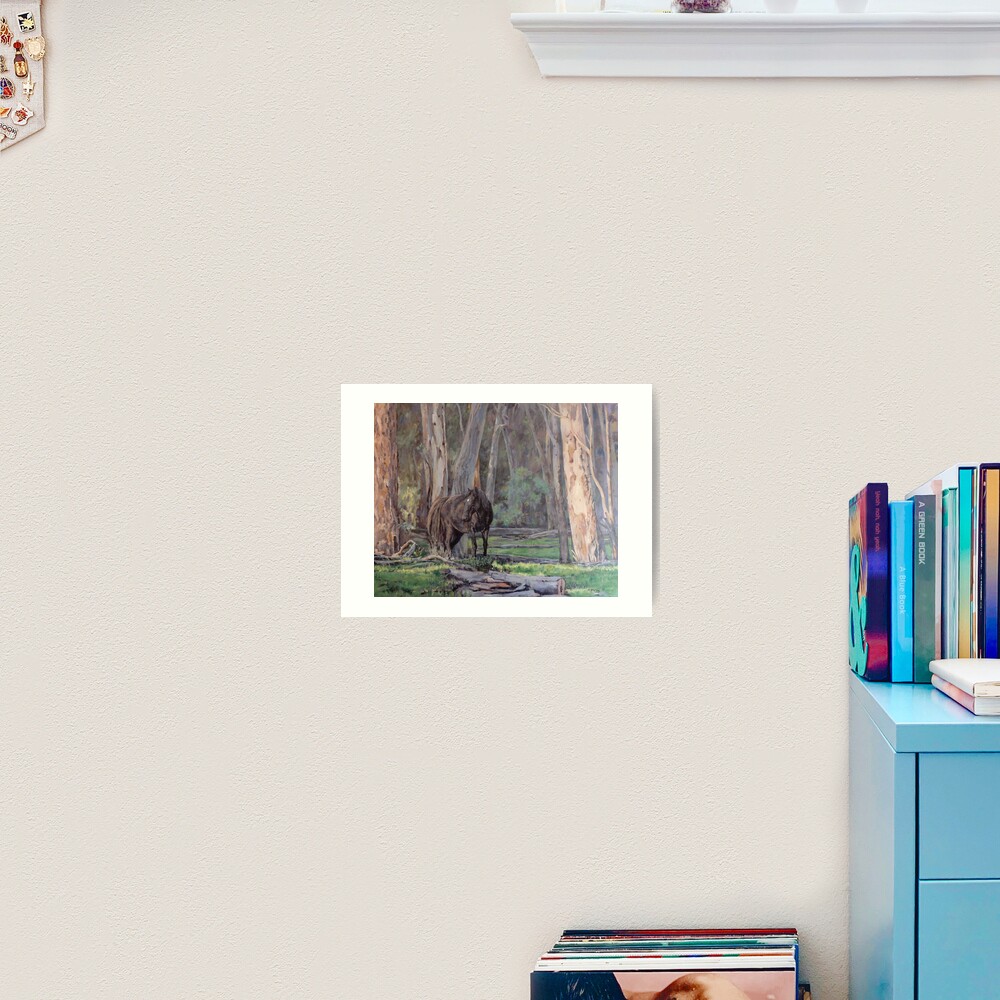 ""Brumby at Barmah Forest"" Art Print by margaretast | Redbubble