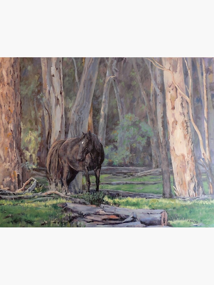 ""Brumby at Barmah Forest"" Art Print by margaretast | Redbubble