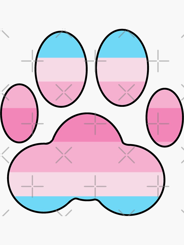 Lgbt Pride Paws Transfeminine Sticker For Sale By Echoskyart Redbubble