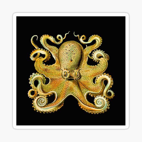 "Octopus" Sticker for Sale by monsterplanet | Redbubble