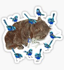 Wombat: Stickers | Redbubble