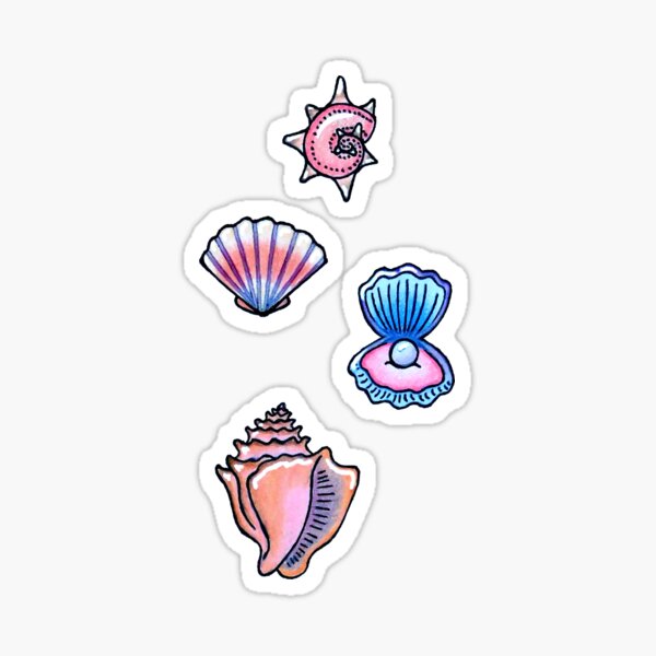 "Cute Pink Seashells 1" Sticker for Sale by maluminous97 | Redbubble