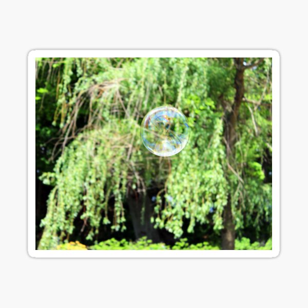 "bubbly" Sticker by sans-shempa | Redbubble