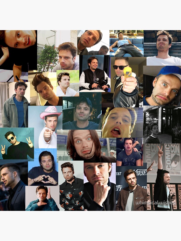 "Sebastian Stan Collage " Sticker for Sale by addi19 | Redbubble