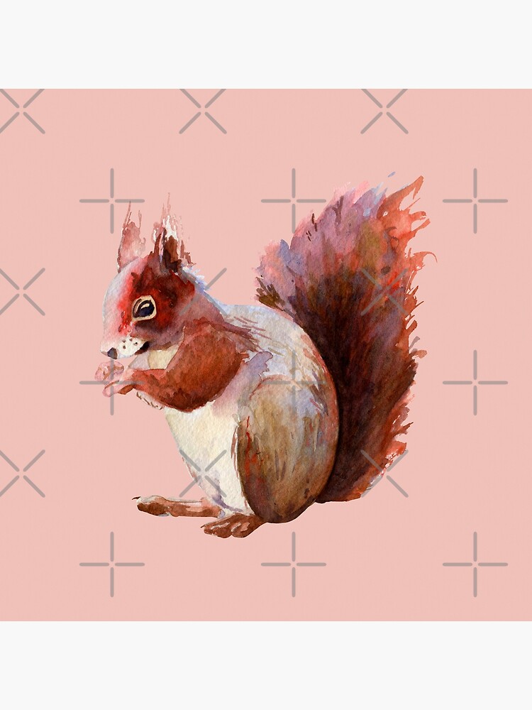 "Cute little Red Squirrel illustration art painted with watercolors ...