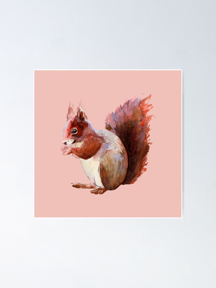 "Cute little Red Squirrel illustration art painted with watercolors ...