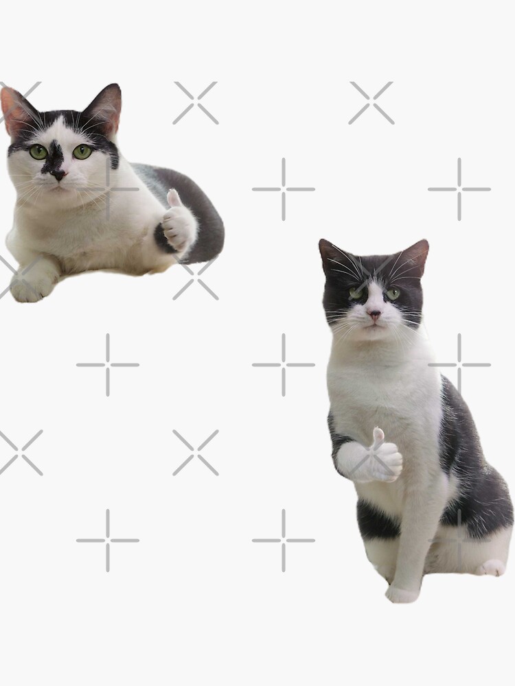 "Cat thumbs up MEME sticker-pack" Sticker for Sale by Alex-bubble ...
