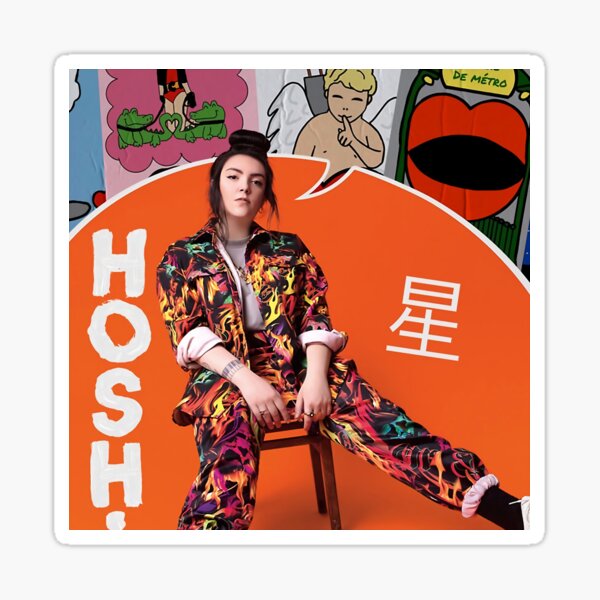 "HOSHI French Artist - Hoshi France" Sticker for Sale by katherinefrts ...