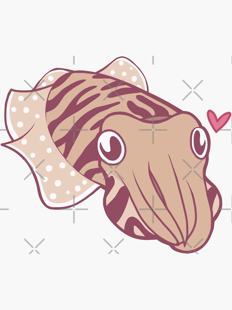 "Cuttlefish love" Sticker for Sale by jenrichards | Redbubble
