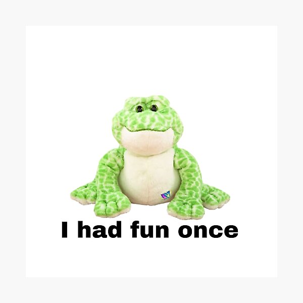 "Webkinz frog I had fun once meme" Photographic Print for Sale by ...
