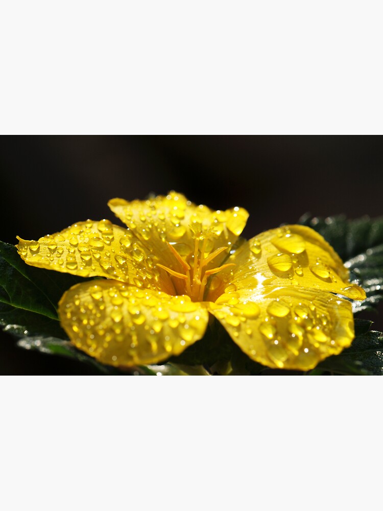 "Yellow rain drop" Sticker for Sale by Jadebooteek | Redbubble