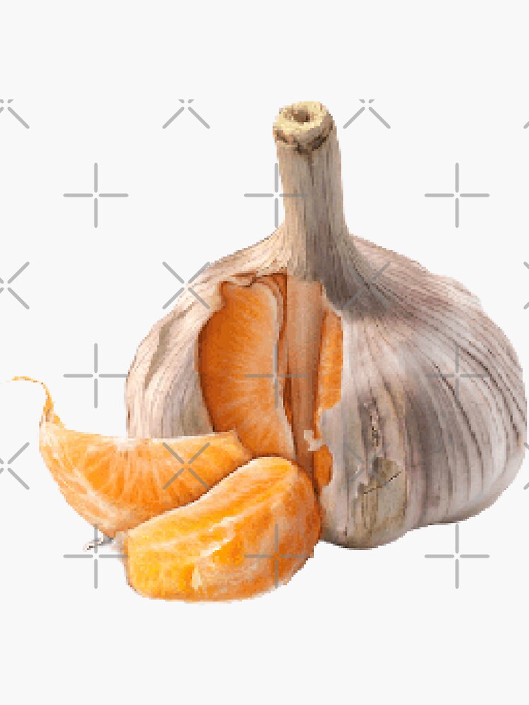 "Garlic contains Oranges" Sticker by DipankarMandal | Redbubble