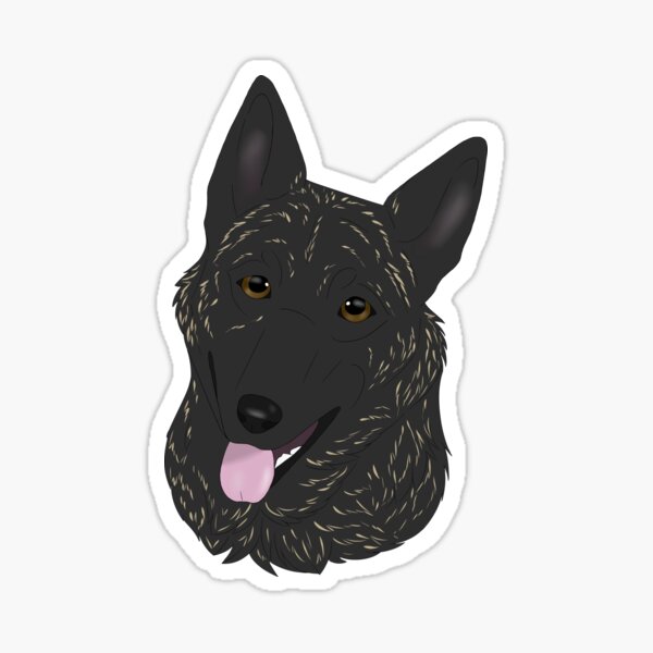 "Dutch Shepherd Shorthair" Sticker for Sale by Cynthiaetal | Redbubble