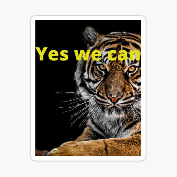"Tiger yes we can" Sticker for Sale by Snoussilux | Redbubble