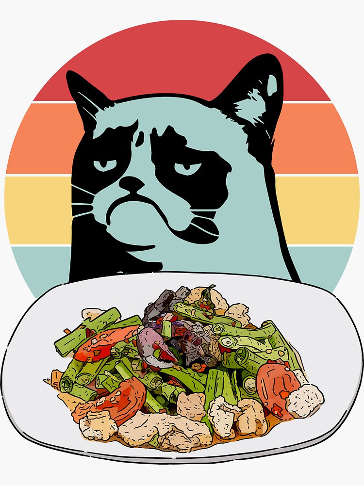 "Angry Women Yelling At Confused Cat At Dinner Table Meme Vinta ...
