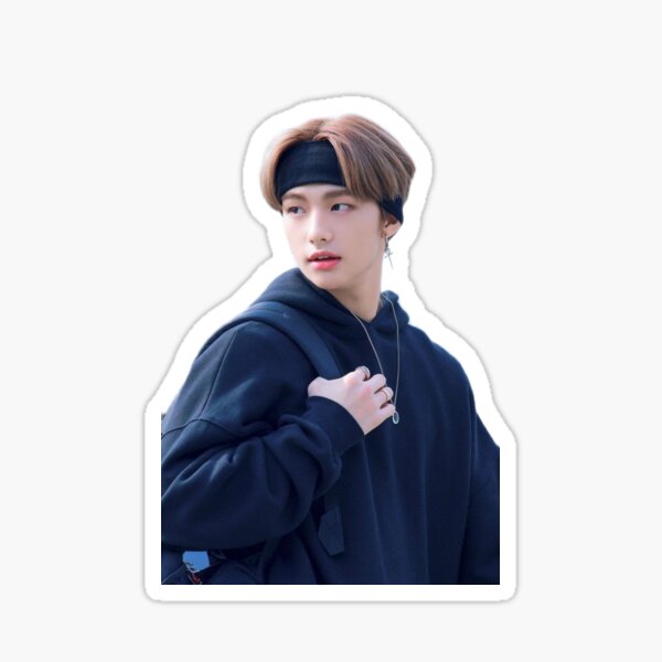 "stray kids hyunjin " Sticker by Divya21 | Redbubble