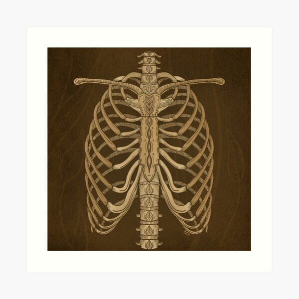 Ribs Art Prints | Redbubble