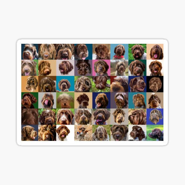 "GRIFF PUZZLE" Sticker by boesarts | Redbubble