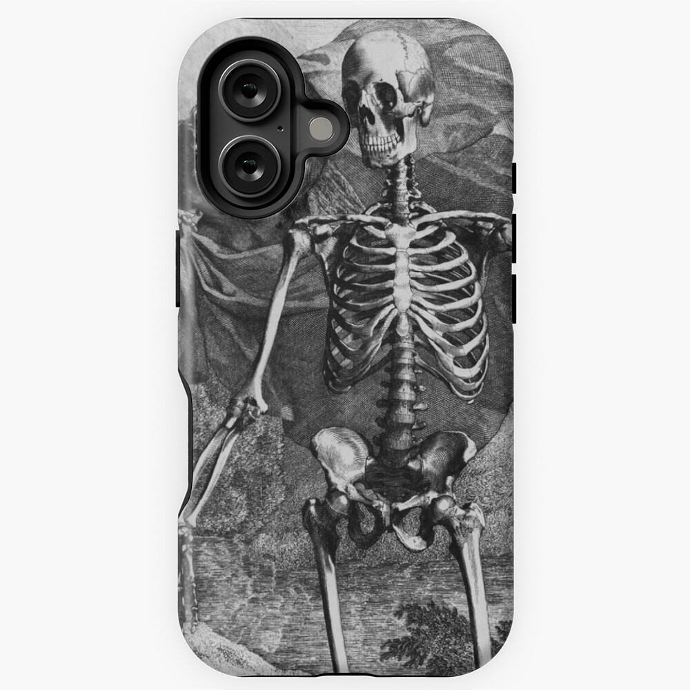 "Albinus Skeleton Human Anatomy Vintage Ecorche Engraving Spooky ...