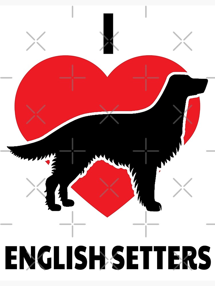 "I Love English Setters!" Poster for Sale by DogCatLover42 | Redbubble