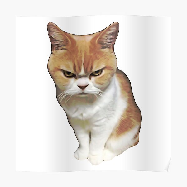 "angry cat" Poster for Sale by TYkorea | Redbubble