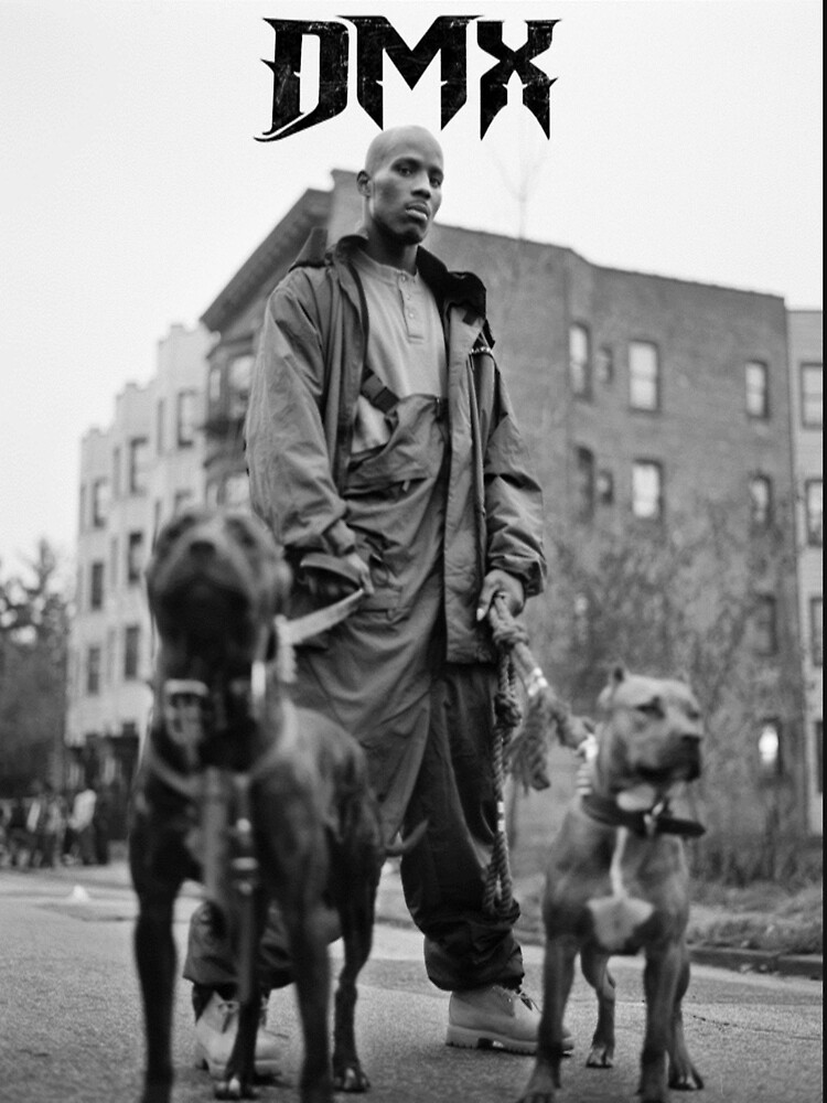 "DMX RUFF RYDERS" T-Shirt von Pfasanya824 | Redbubble