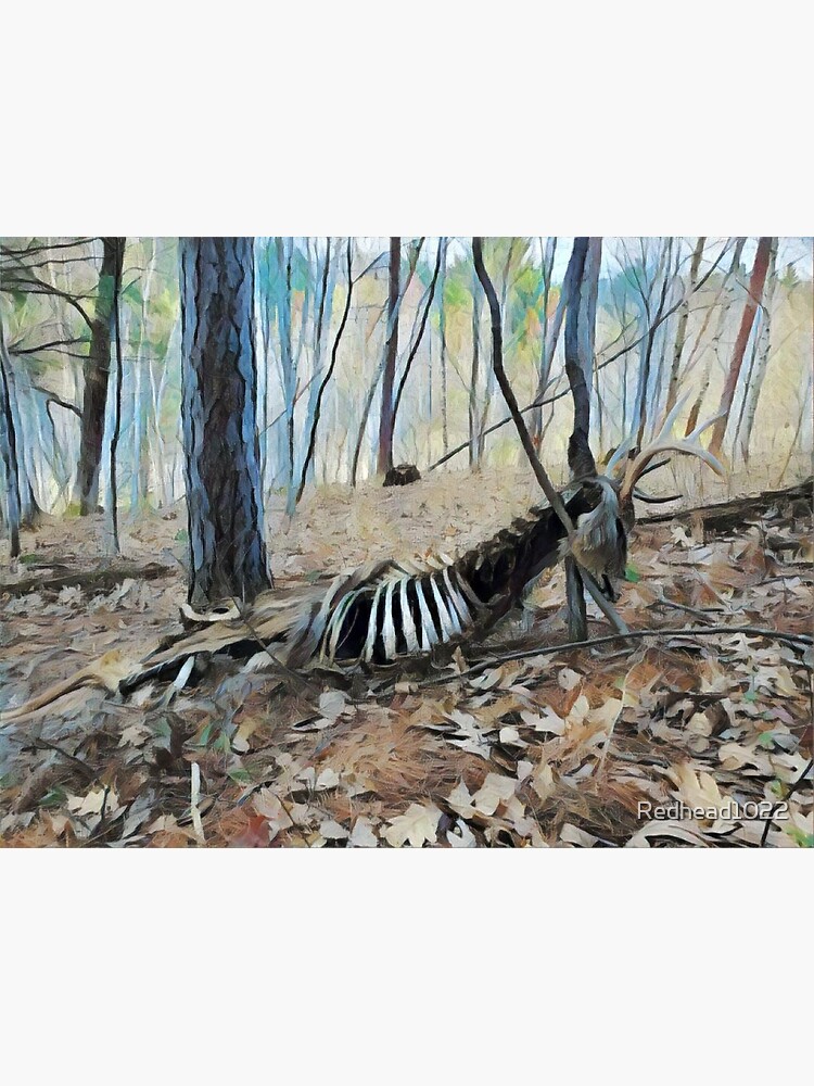 "Buck Skeleton found in Woods" Sticker for Sale by Redhead1022 | Redbubble