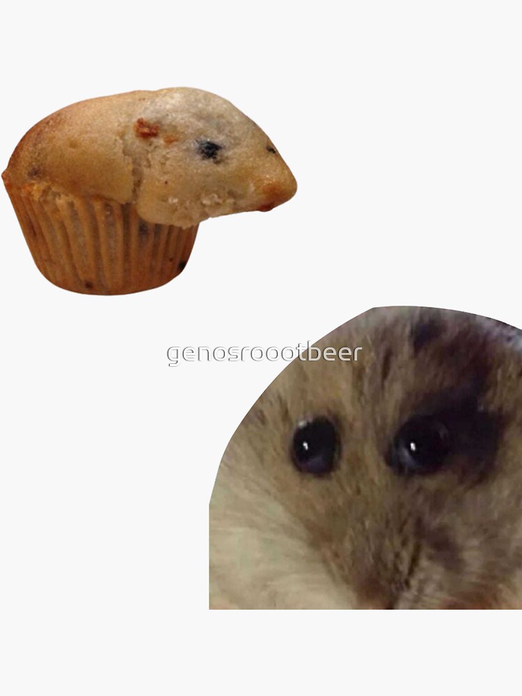 "Hamster Memes" Sticker for Sale by genosroootbeer | Redbubble