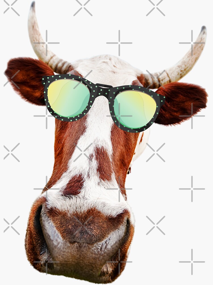 "Stylish cow wearing cute sunglasses" Sticker for Sale by Theleochick ...