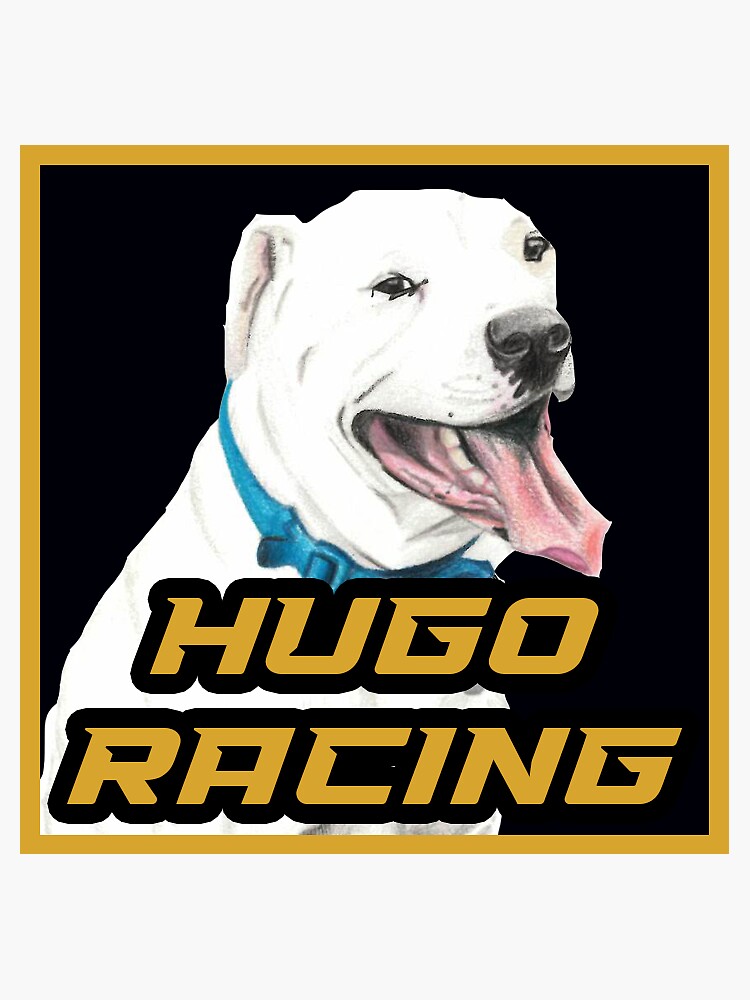 "Hugo Racing 2" Sticker by coolchrisco | Redbubble