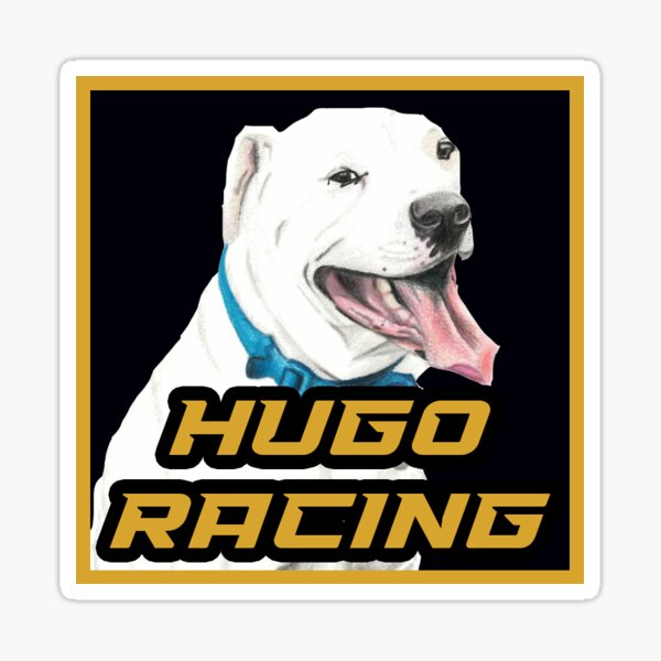 "Hugo Racing 2" Sticker by coolchrisco | Redbubble