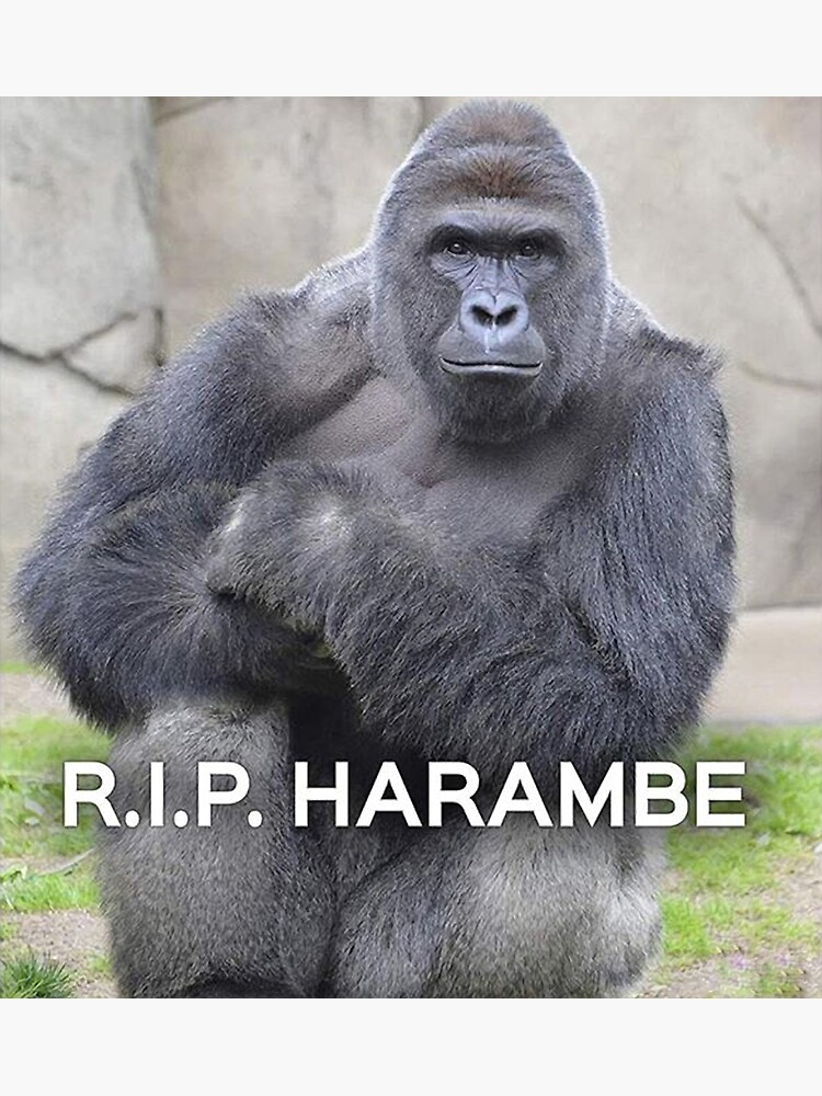 "Harambe" Sticker for Sale by theanime | Redbubble