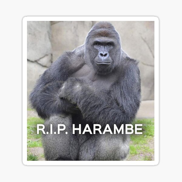 "Harambe" Sticker for Sale by theanime | Redbubble
